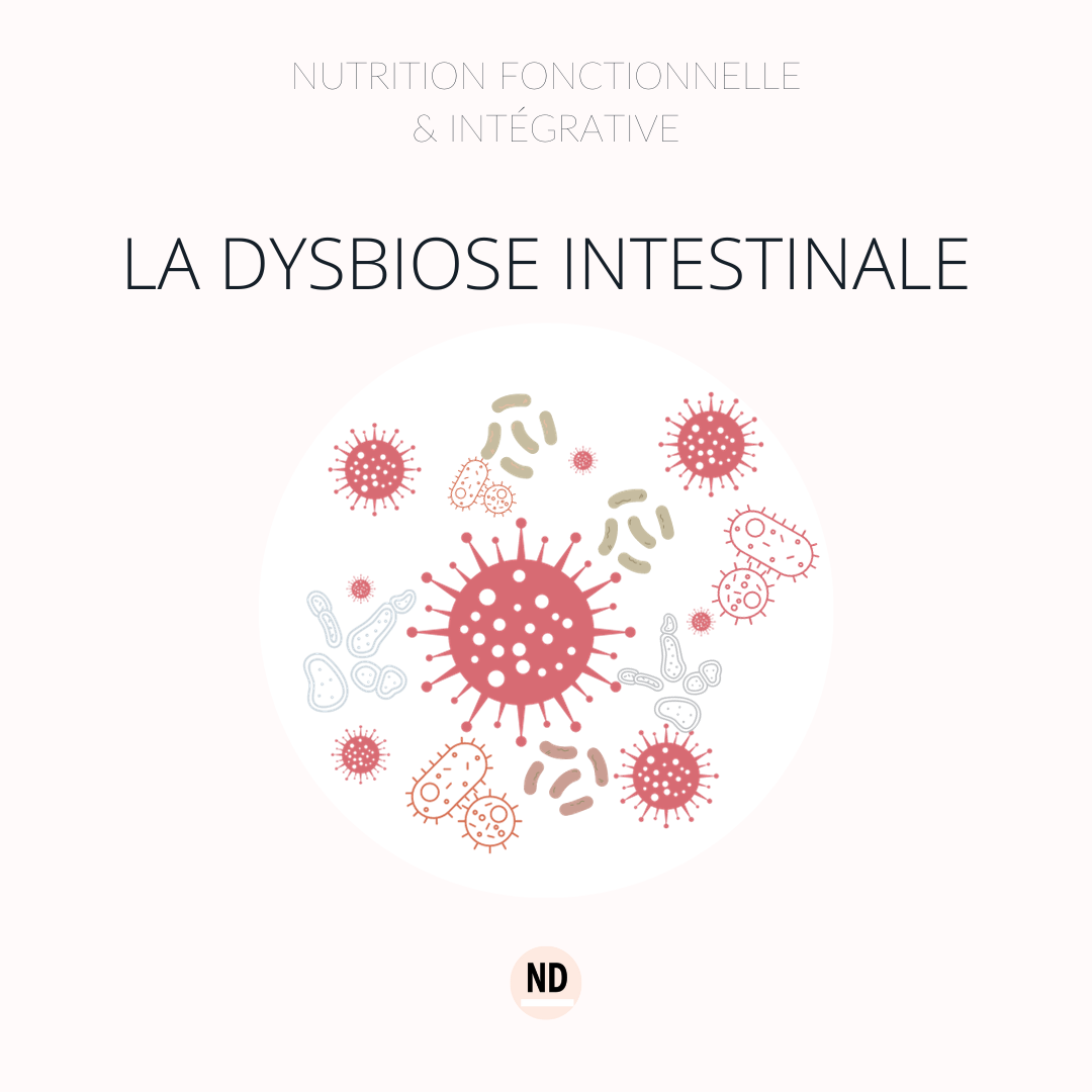 La dysbiose intestinale : causes, symptômes et solutions pour restaurer ...
